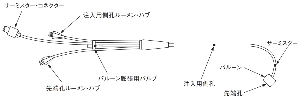 右心カテーテル検査―スワンガンツカテーテルについて【前編】（仕組み・アプローチ） | CEじゃーなる