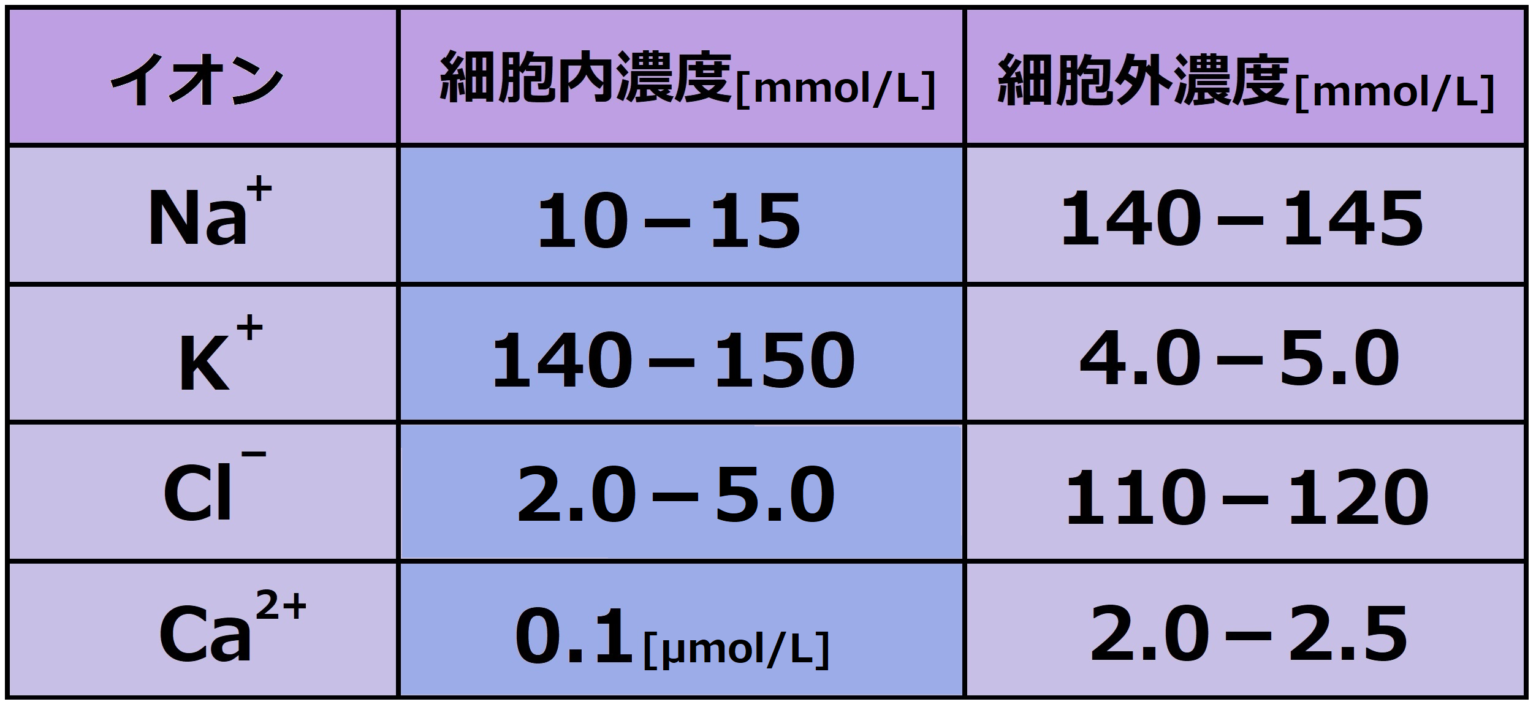 活動電位についてー波形の成り立ちをわかりやすく解説ー | CEじゃーなる